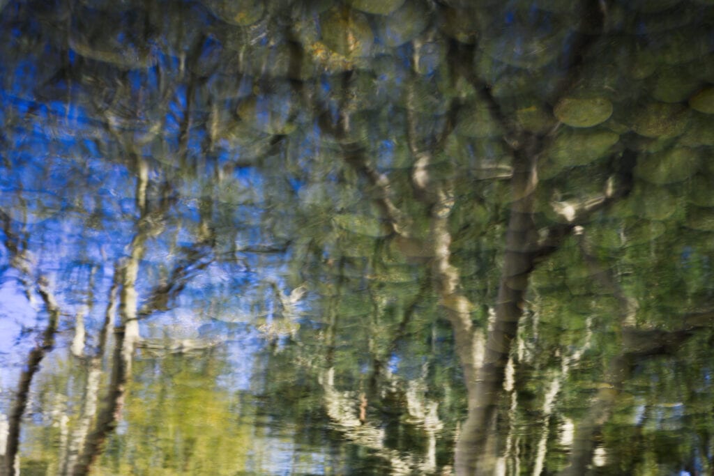My Sunnylands: A Community Photo Show - Sunnylands