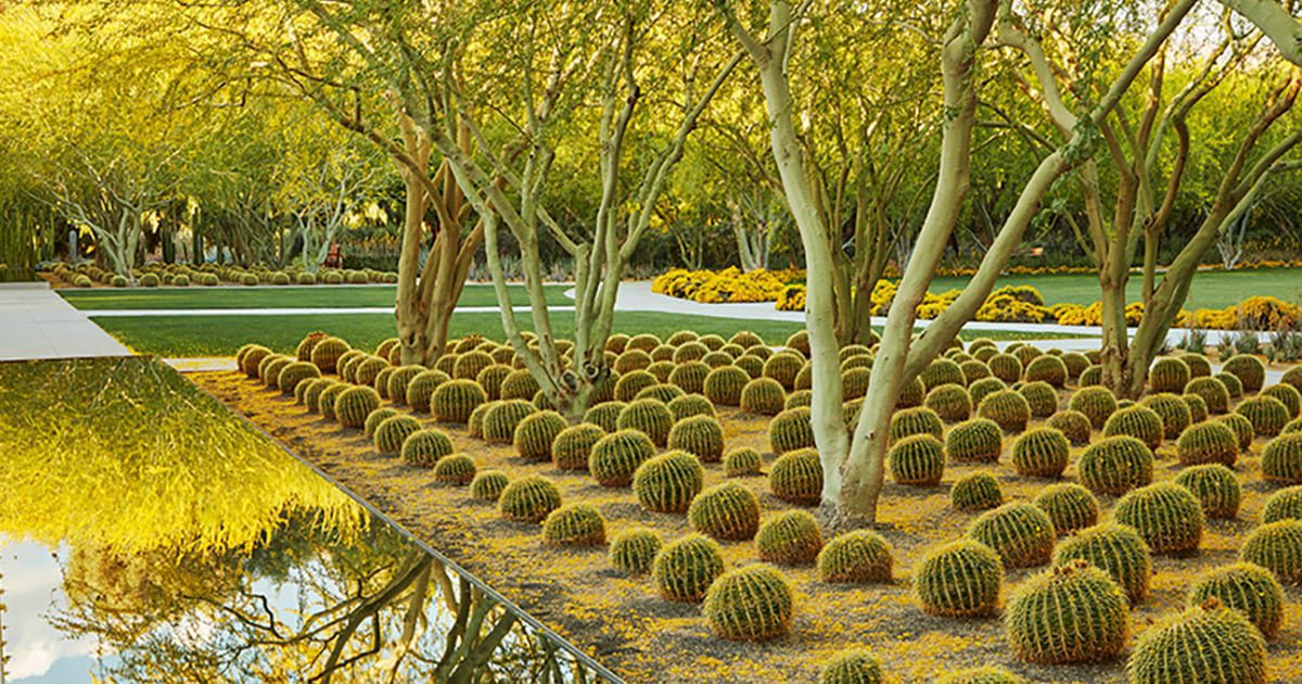 Sustainability - Sunnylands