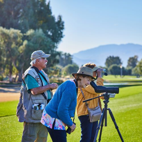 Birding on the Estate - Sunnylands